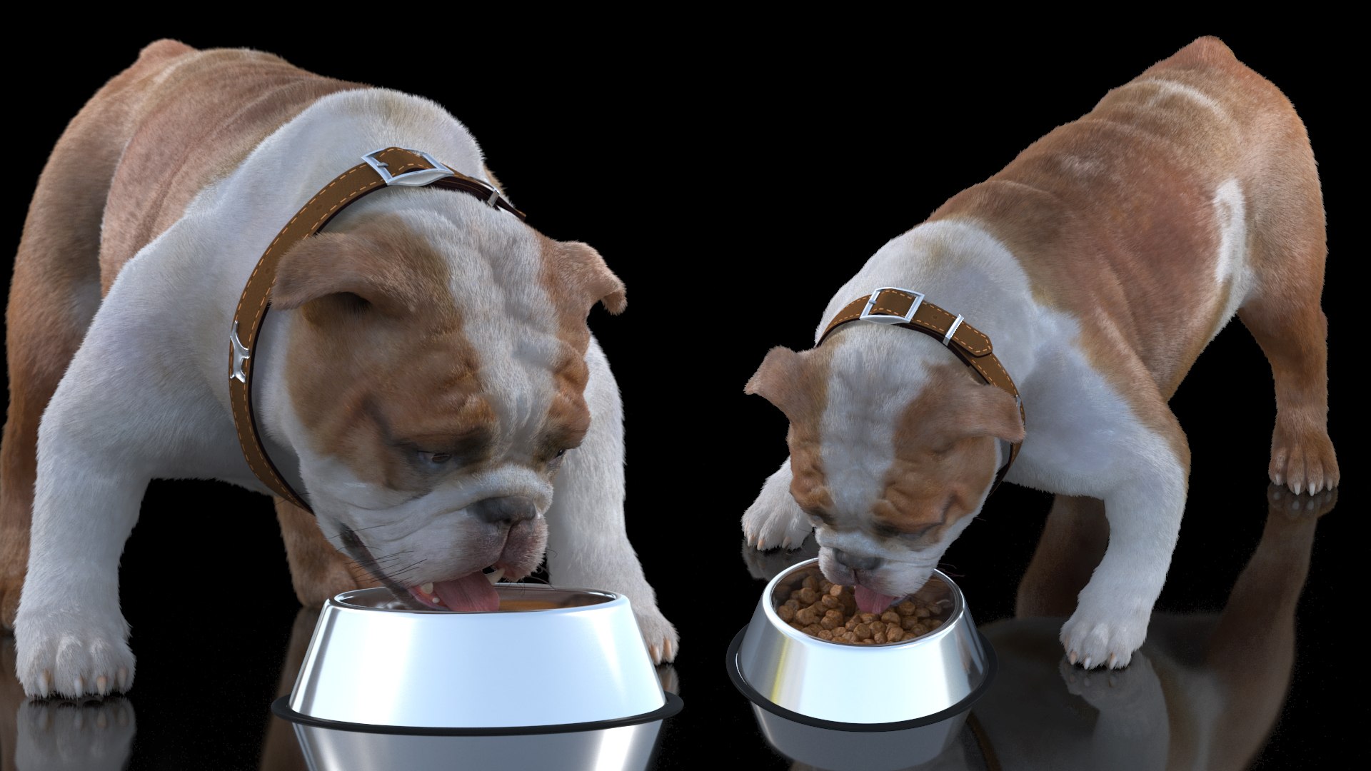 Bulldog Eats Out Of The Bowl Fur 3D Model - TurboSquid 2179925
