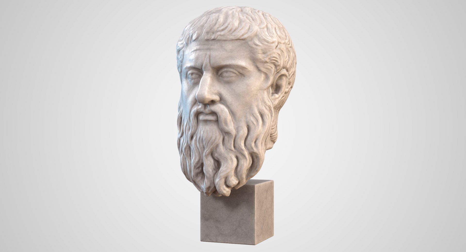 plato head