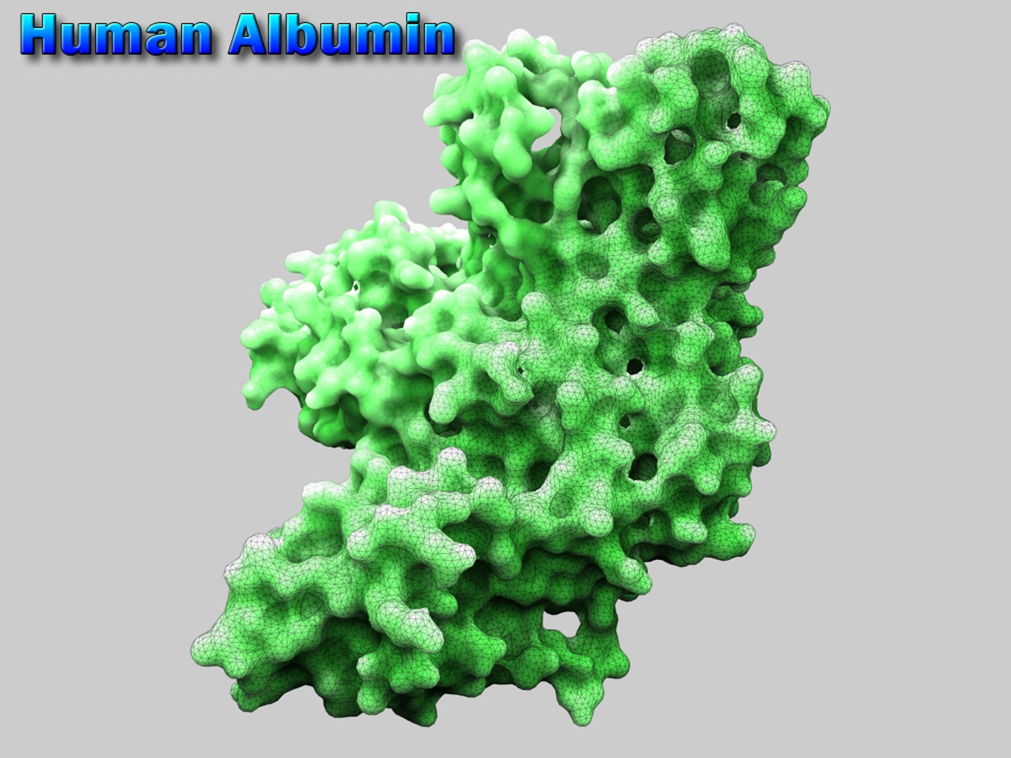 C4d Human Protein 20s