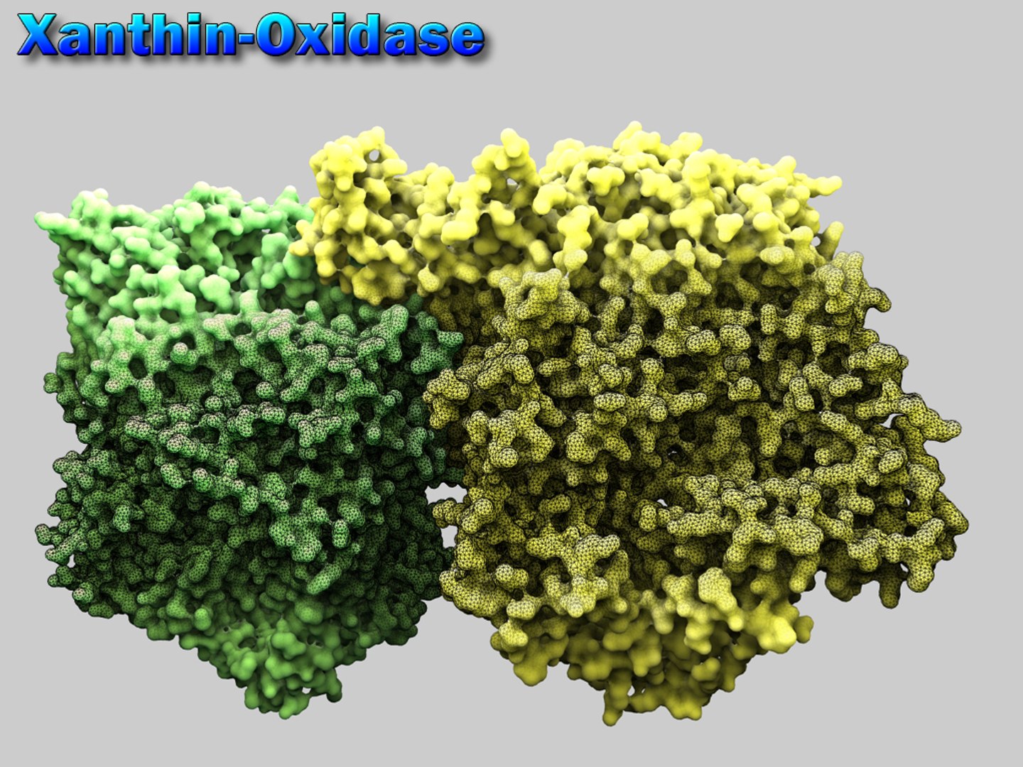 C4d Human Protein 20s