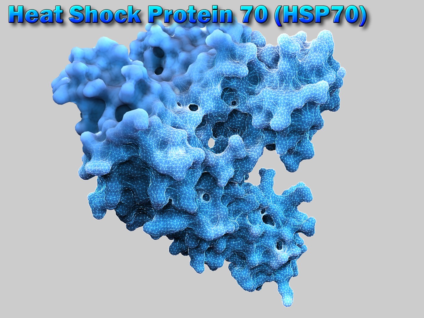 C4d Human Protein 20s