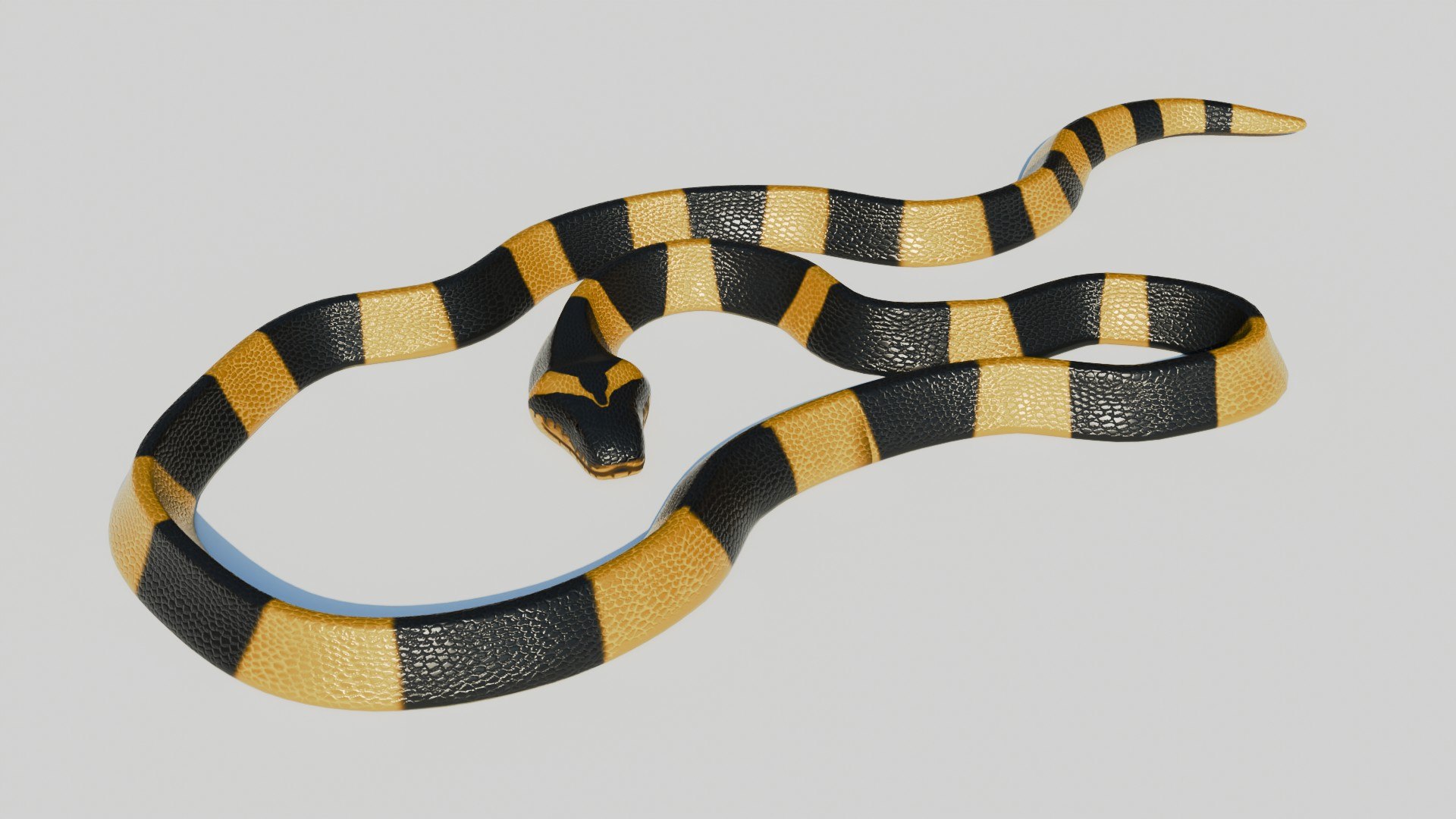 3D Model Rigged Banded Krait - Low Poly - Game Ready - PBR - TurboSquid ...
