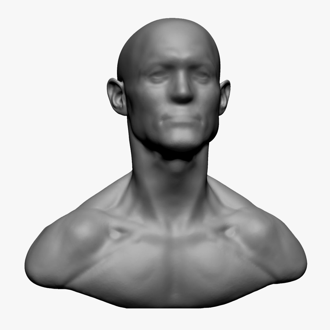 Base Male Head B model - TurboSquid 1937909