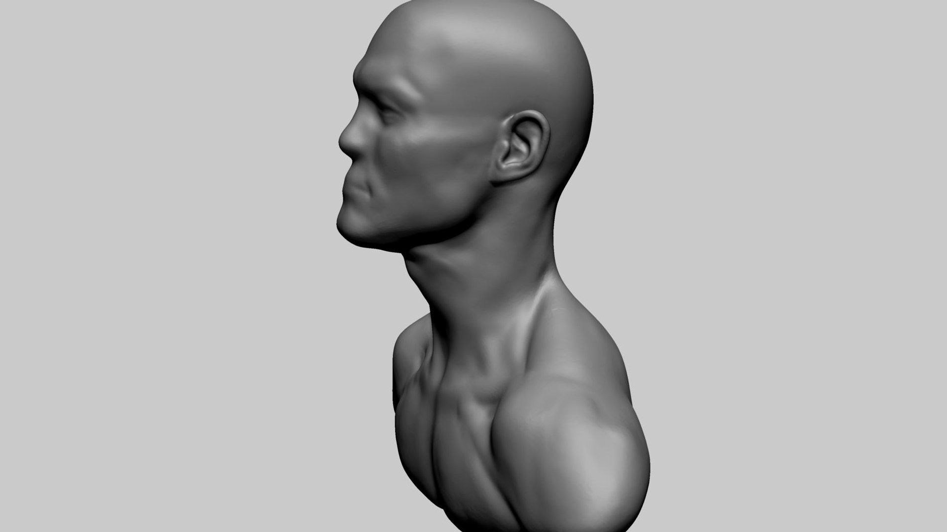 Base Male Head B Model - TurboSquid 1937909