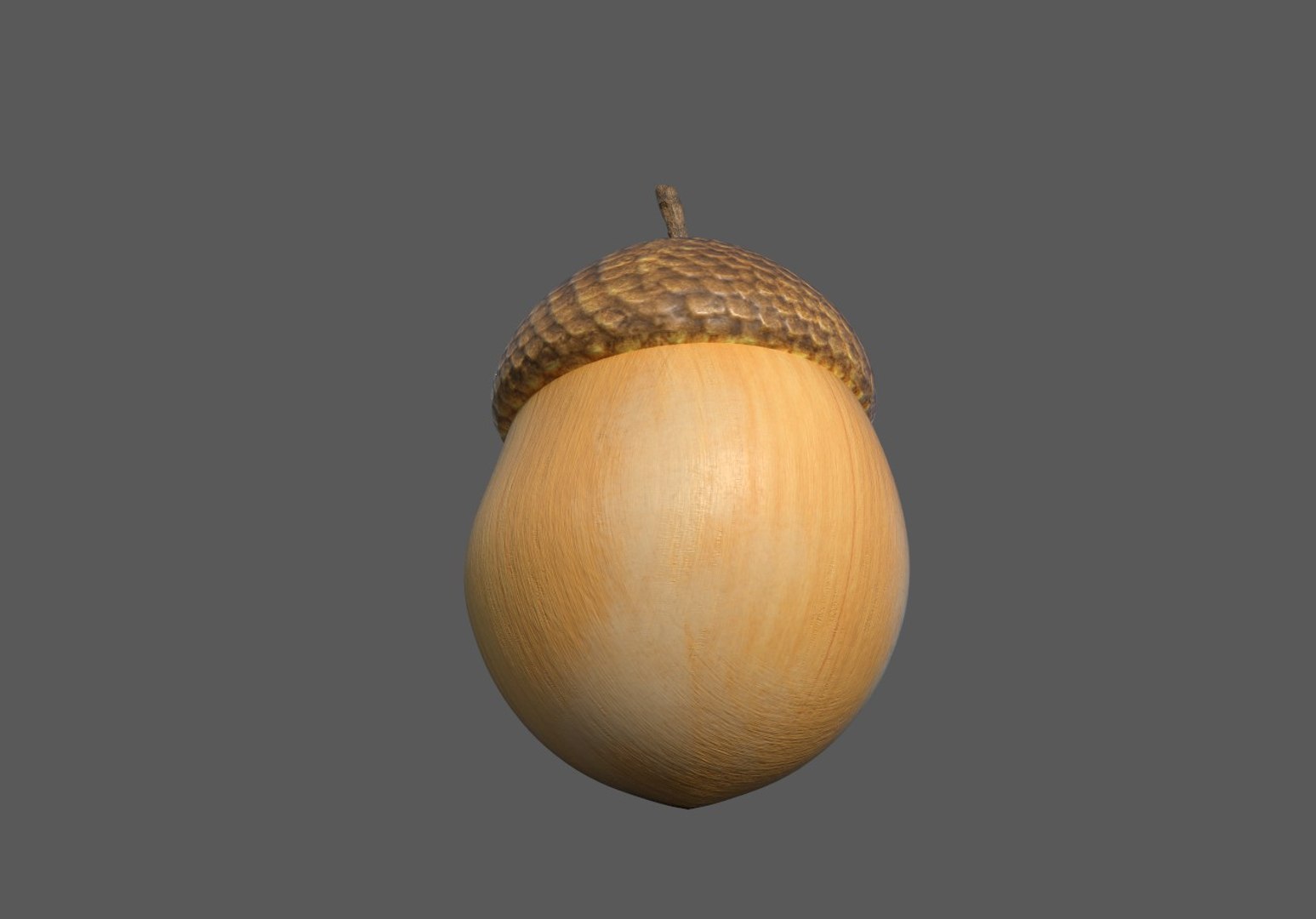 3D Acorn - TurboSquid 1614598