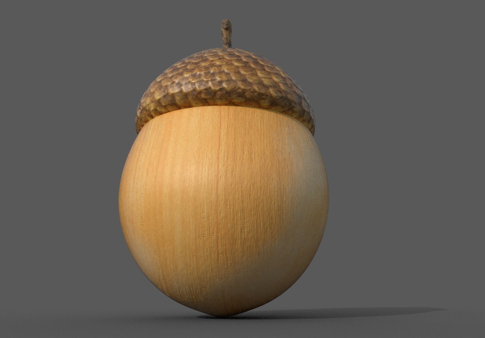 3D Acorn - TurboSquid 1614598