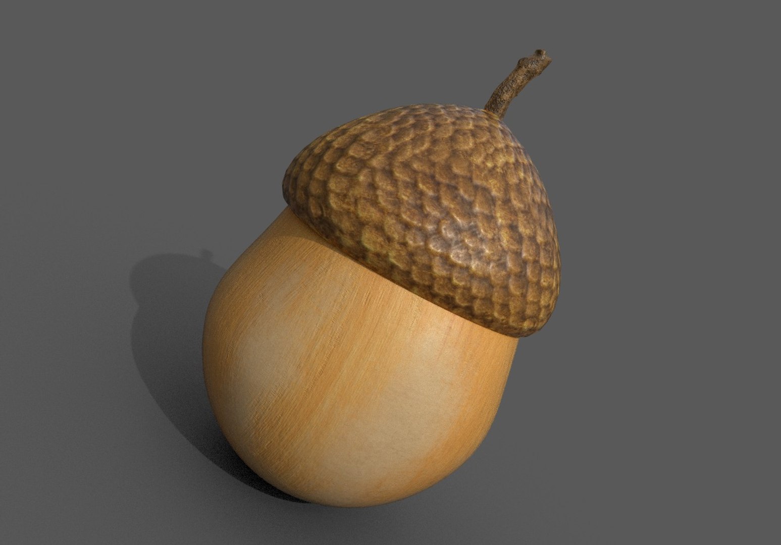 3D Acorn - TurboSquid 1614598