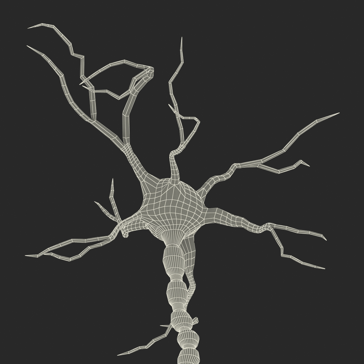 neuron neuro 3d max
