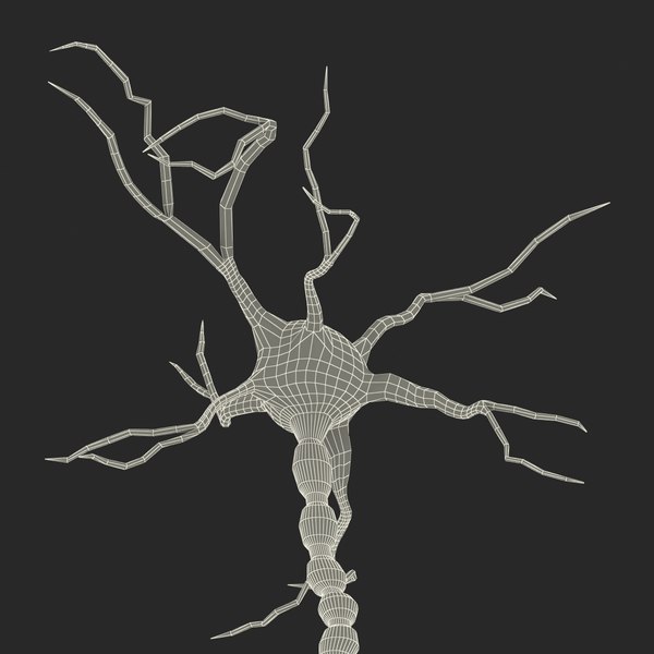 neuron neuro 3d max