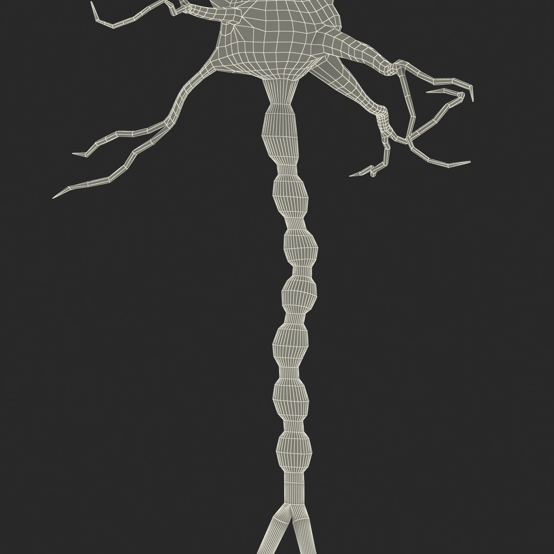 neuron neuro 3d max