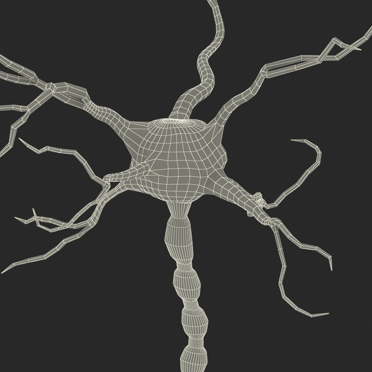 neuron neuro 3d max