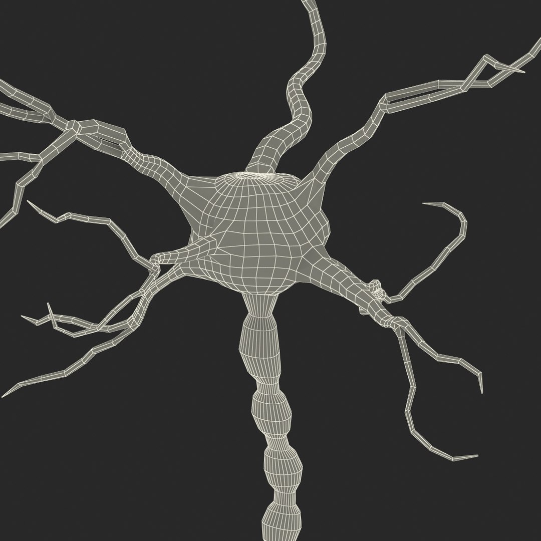 neuron neuro 3d max