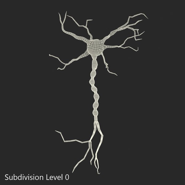 neuron neuro 3d max