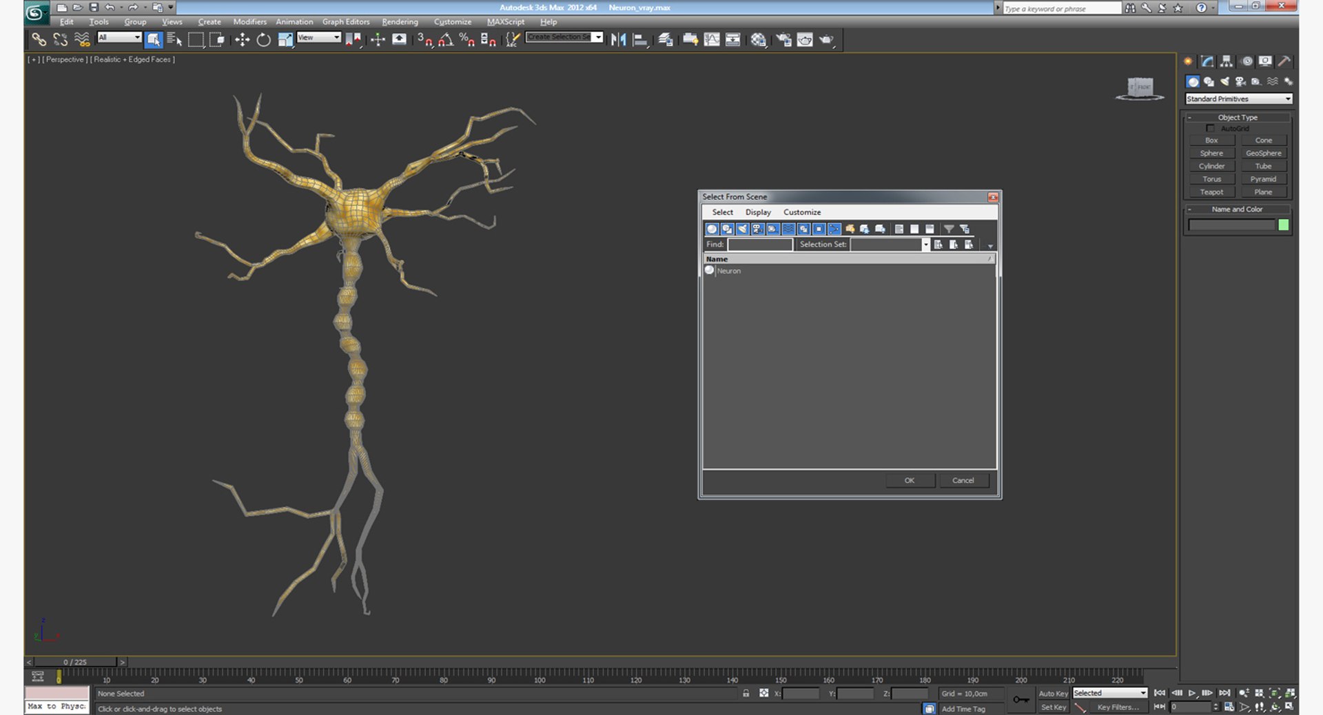 Neuron Neuro 3d Max