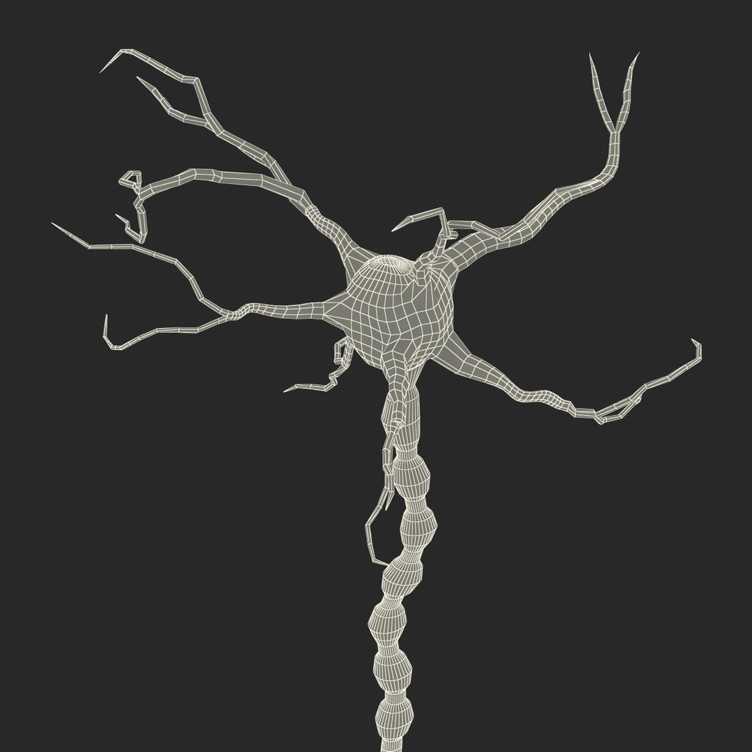 Neuron Neuro 3d Max