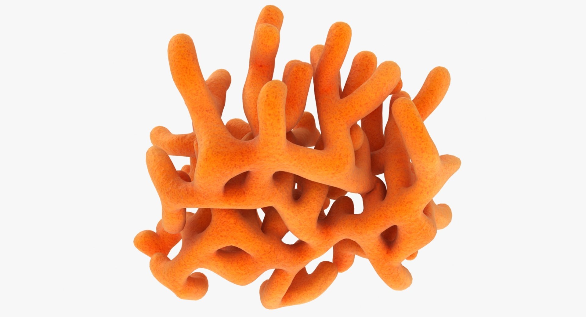 3D realistic orange tree sponge model - TurboSquid 1369404
