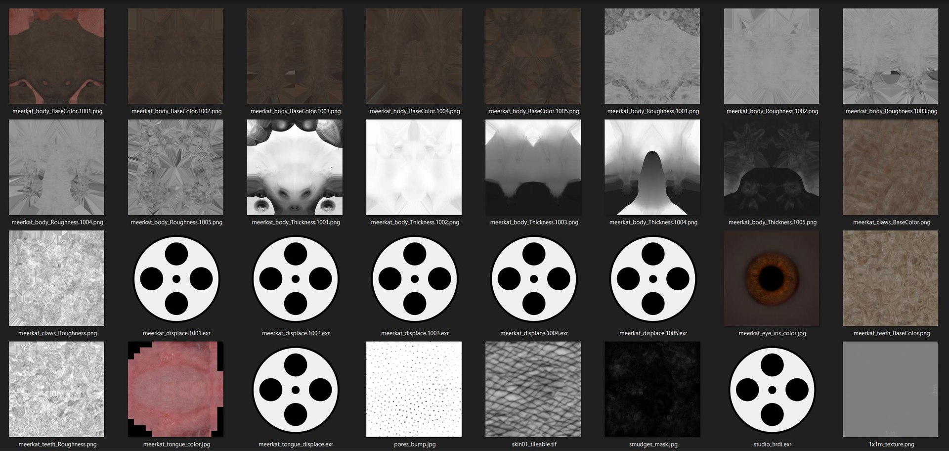 Meerkat 3D - TurboSquid 2170881