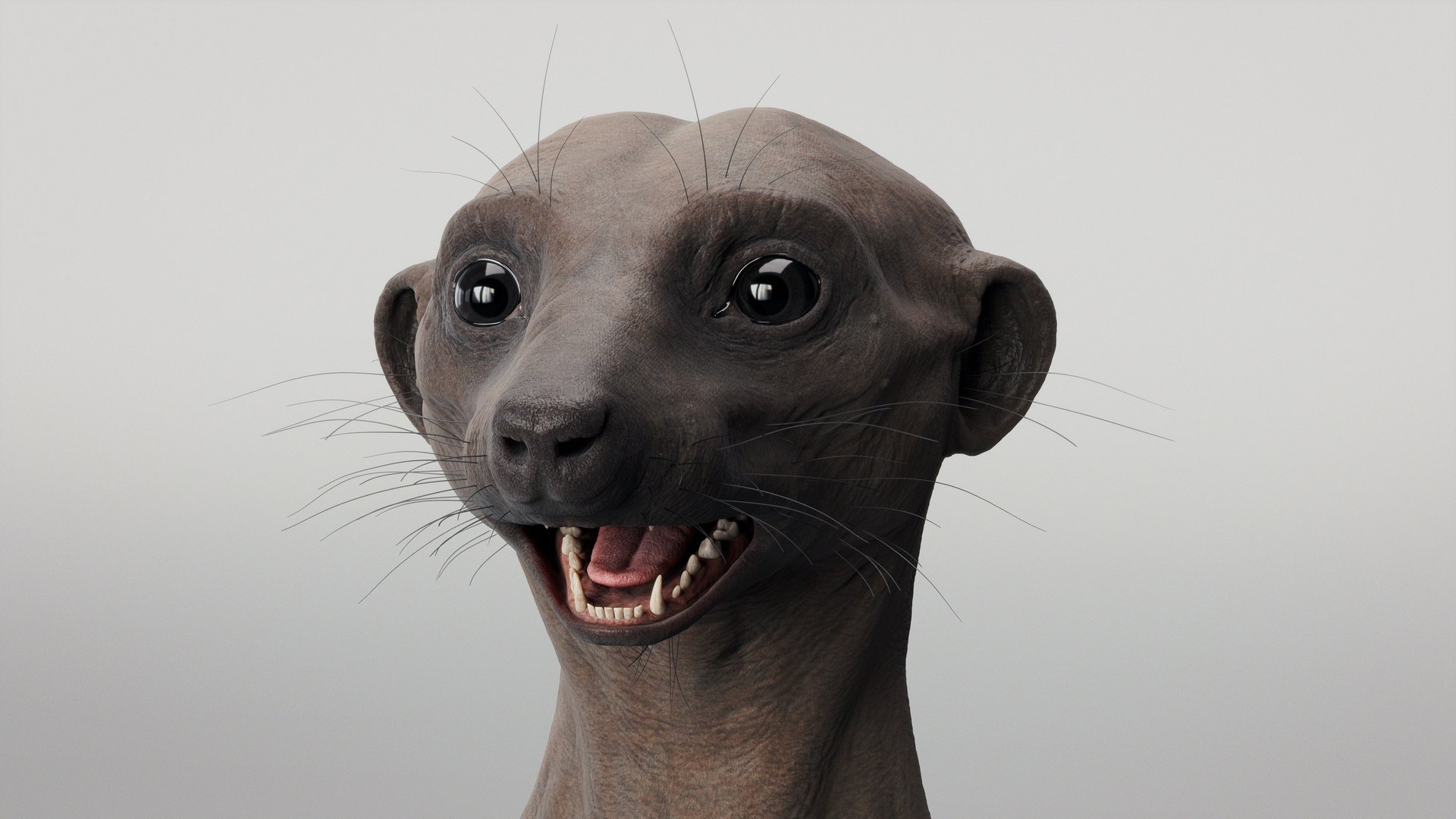 Meerkat 3D - TurboSquid 2170881