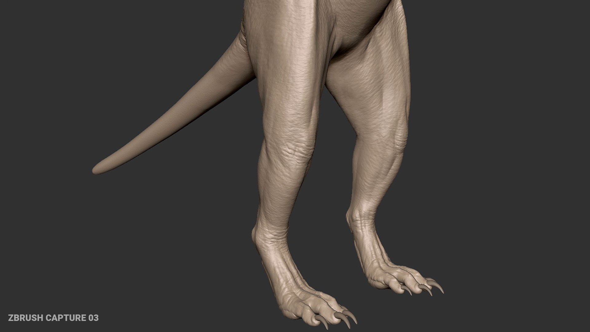 Meerkat 3D - TurboSquid 2170881
