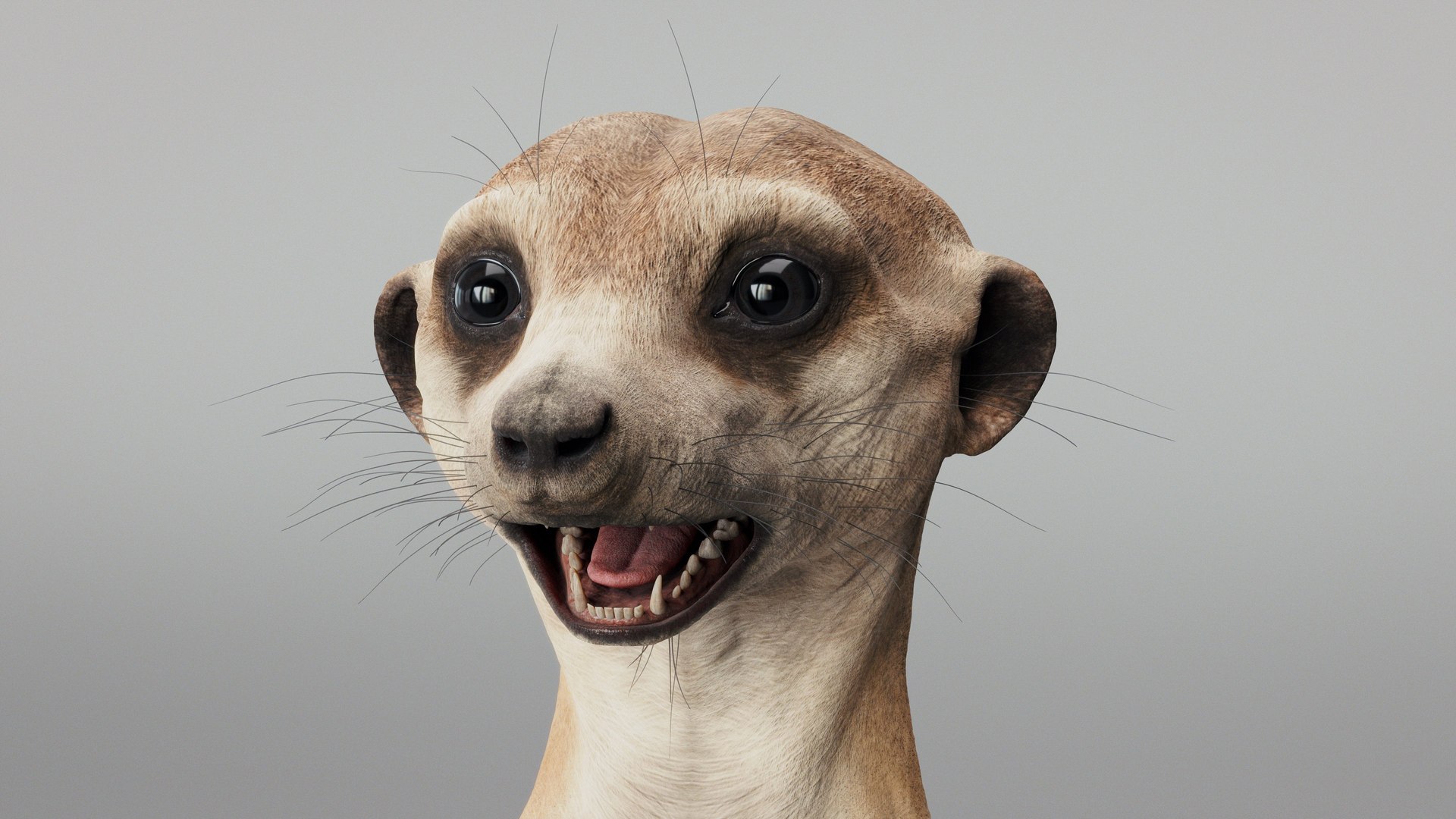 Meerkat 3D - TurboSquid 2170881