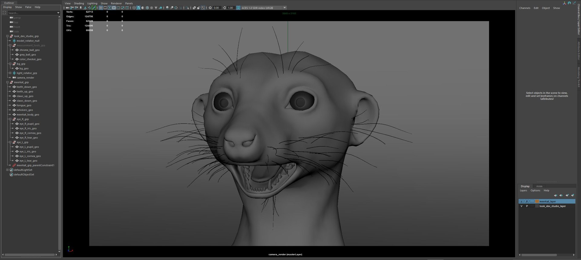 Meerkat 3D - TurboSquid 2170881