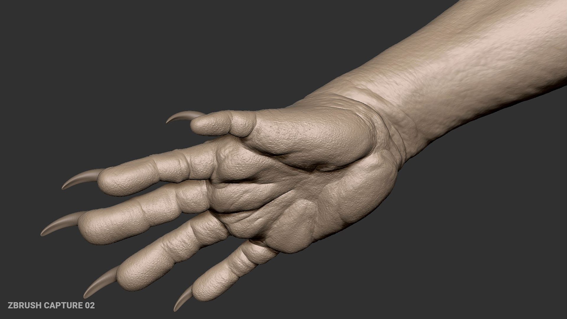 Meerkat 3D - TurboSquid 2170881