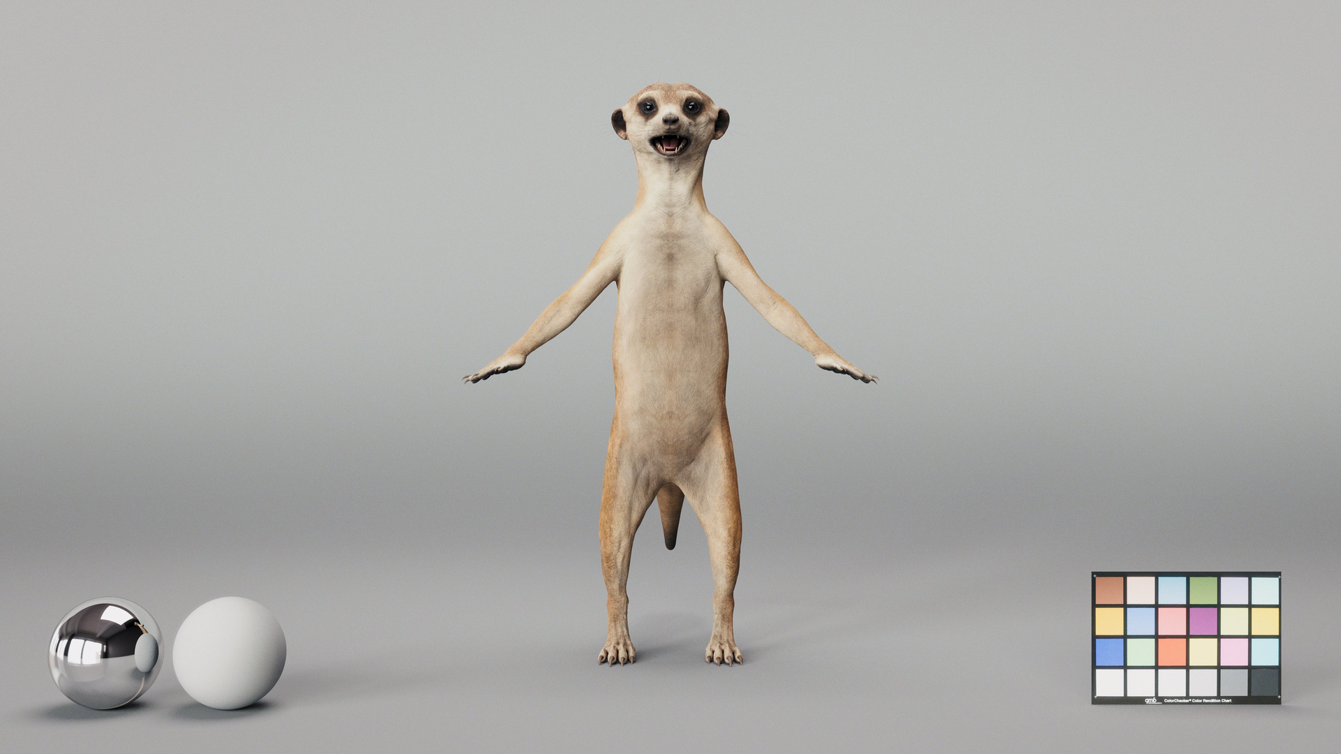 Meerkat 3D - TurboSquid 2170881