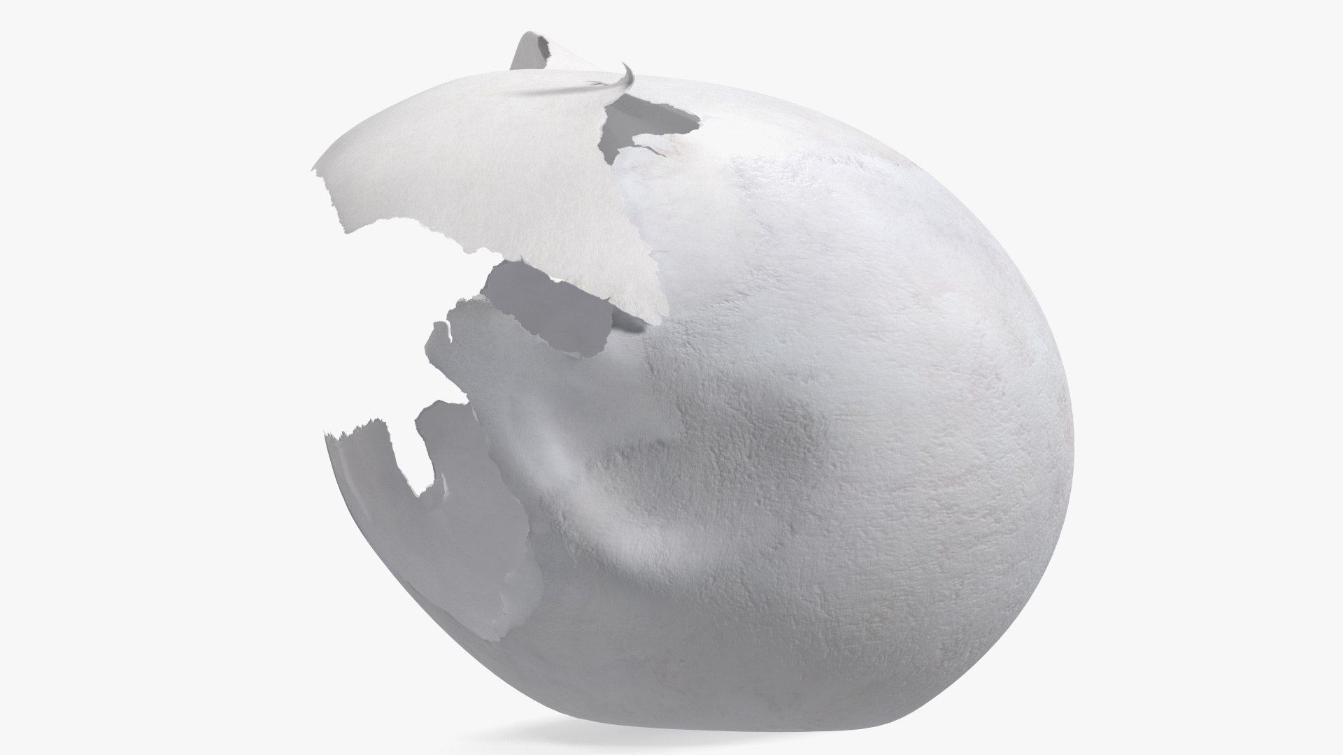 Cracked Turtle Egg 3D Model - TurboSquid 2201903