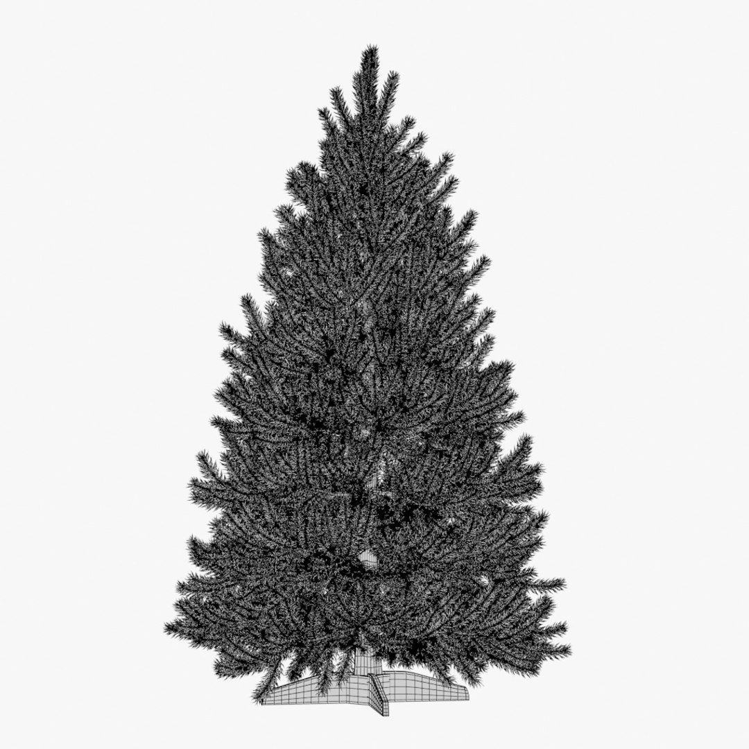 3D Fir Tree - TurboSquid 1214858