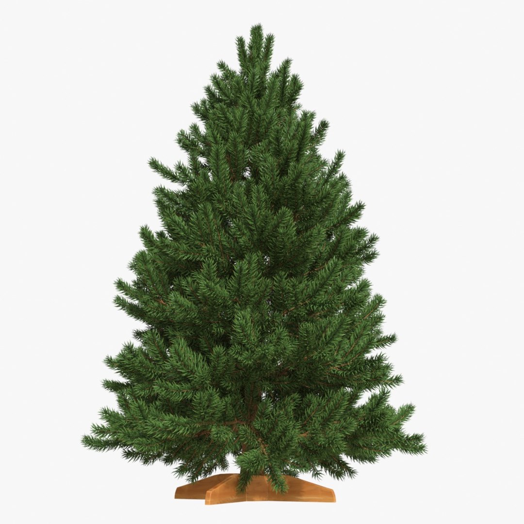 3D Fir Tree - TurboSquid 1214858
