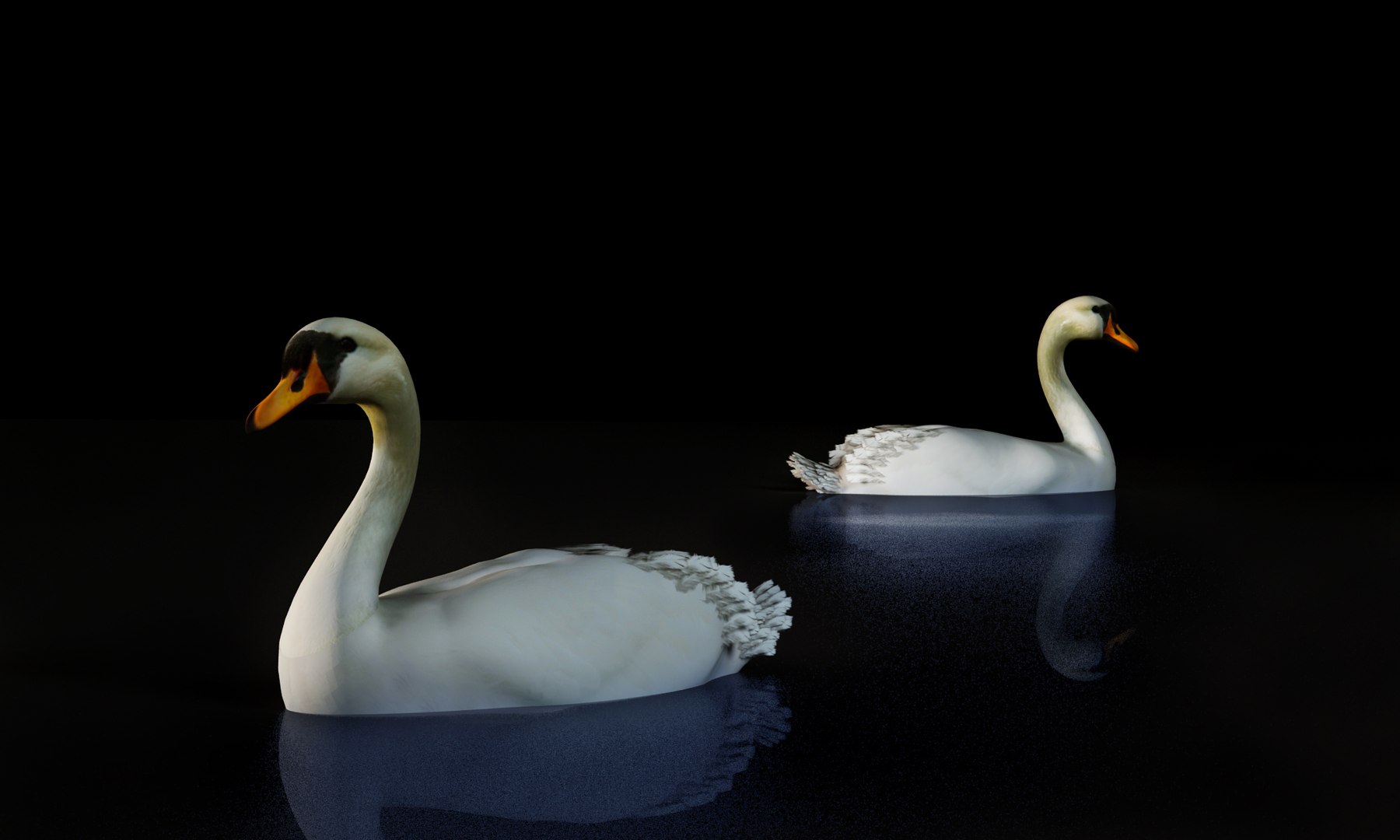 3D Swan White - TurboSquid 1461749