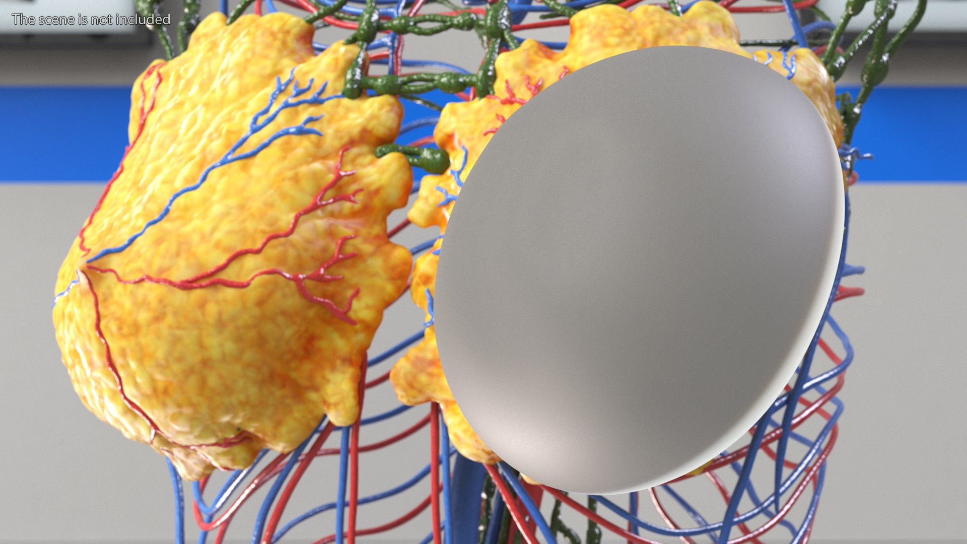 Extra Full Saline Breast Implant 3D Model - TurboSquid 2161870