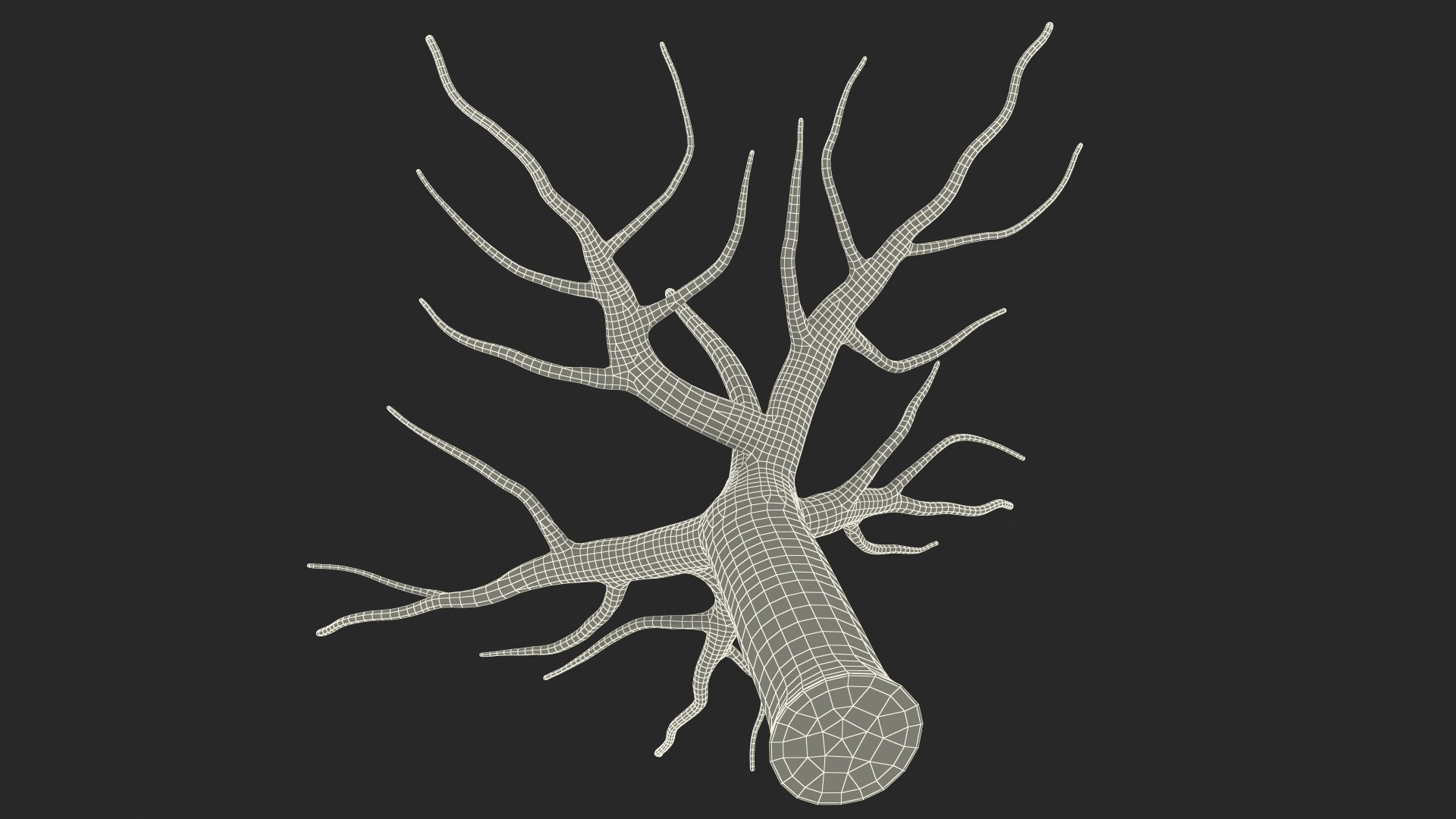 Morus Tree Trunk 3D Model - TurboSquid 1821184