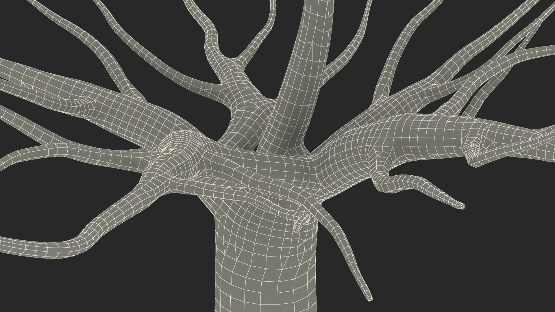 Morus Tree Trunk 3D Model - TurboSquid 1821184