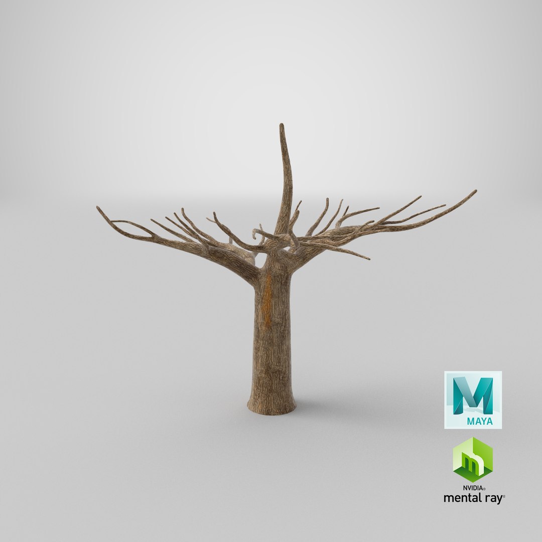 Morus Tree Trunk 3D Model - TurboSquid 1821184