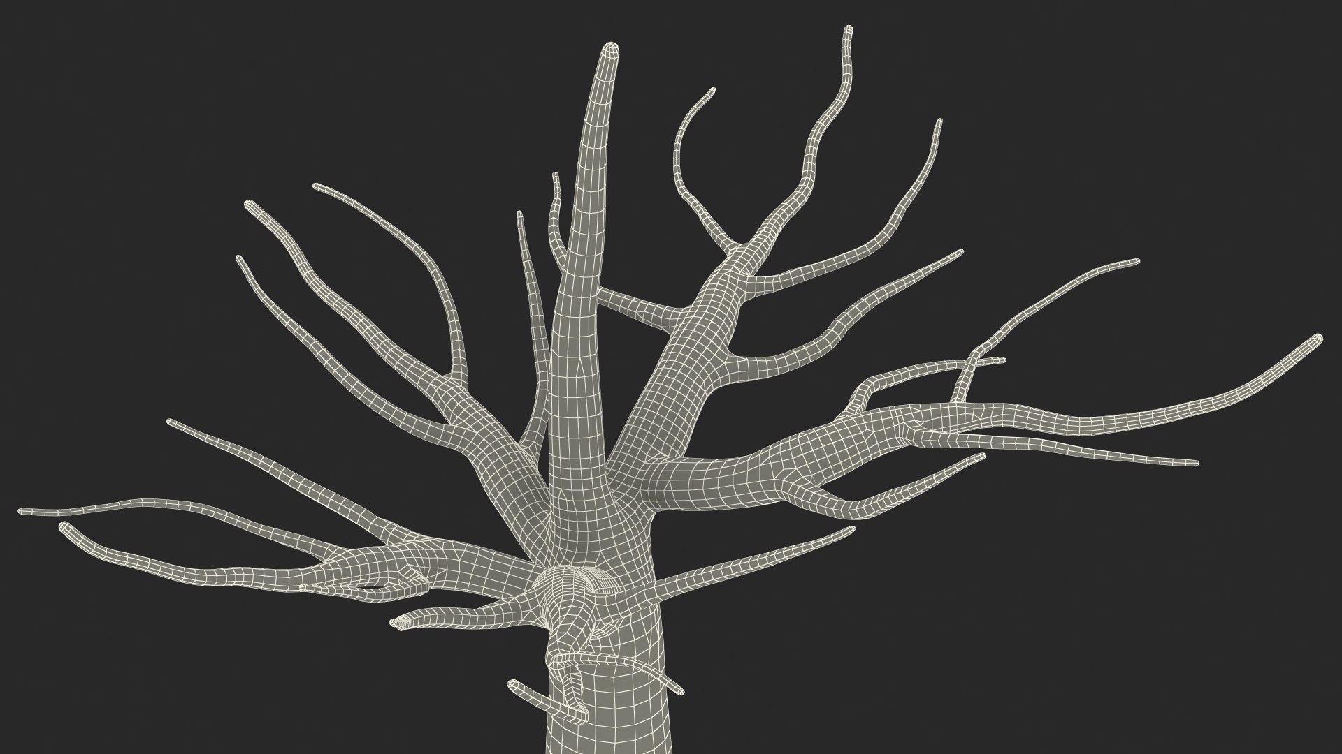 Morus Tree Trunk 3D Model - TurboSquid 1821184