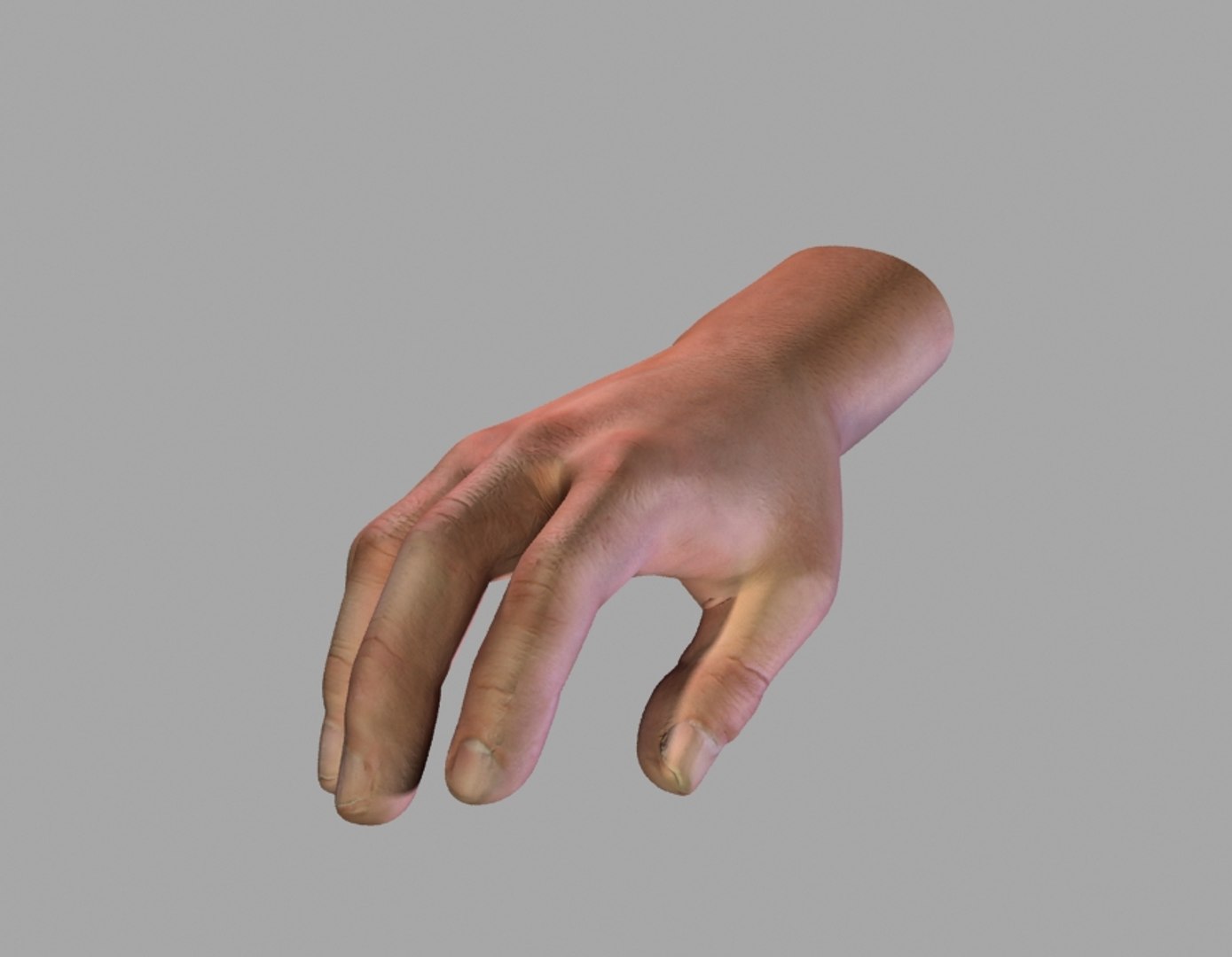 Hand Rigged 3d Model
