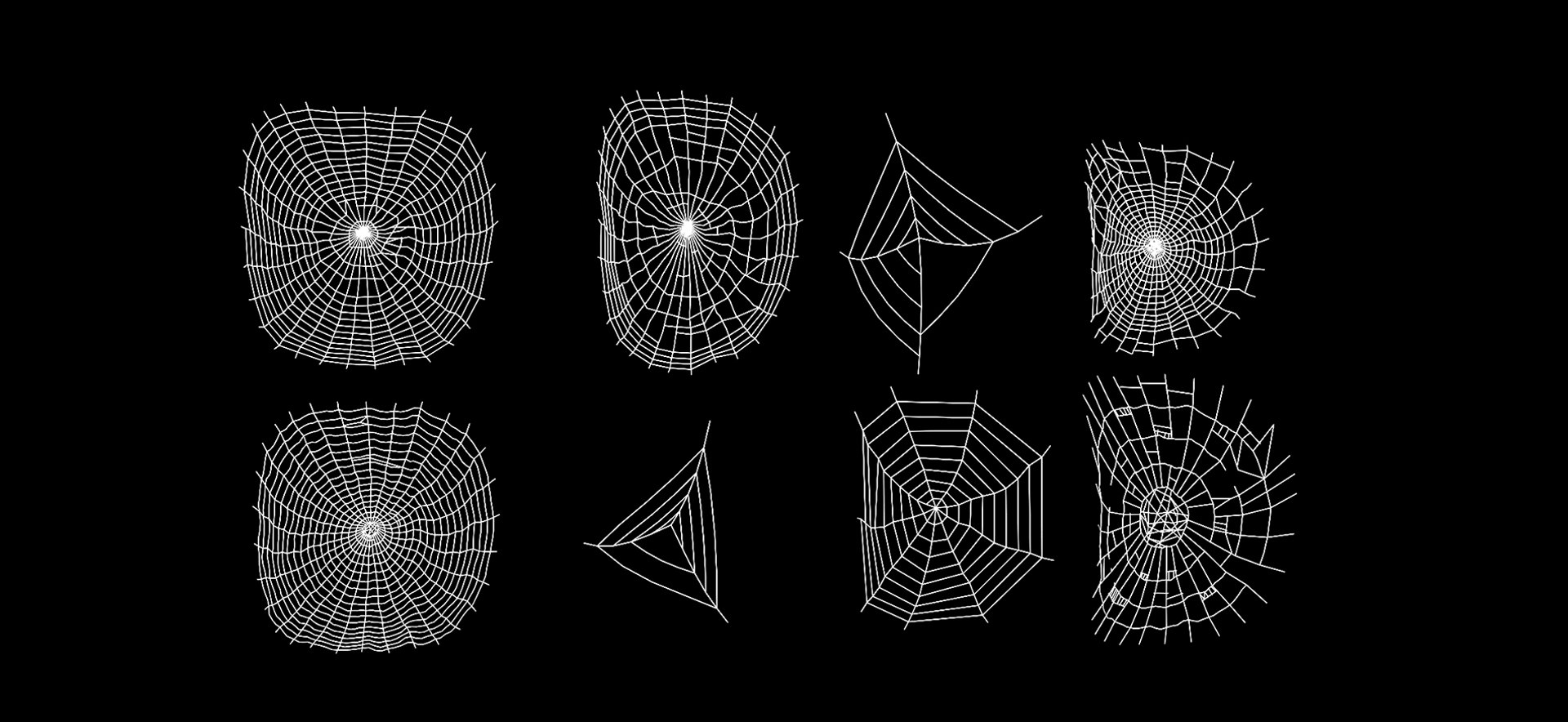 3D Ultimate Spider Webs Pack Model - TurboSquid 2053683