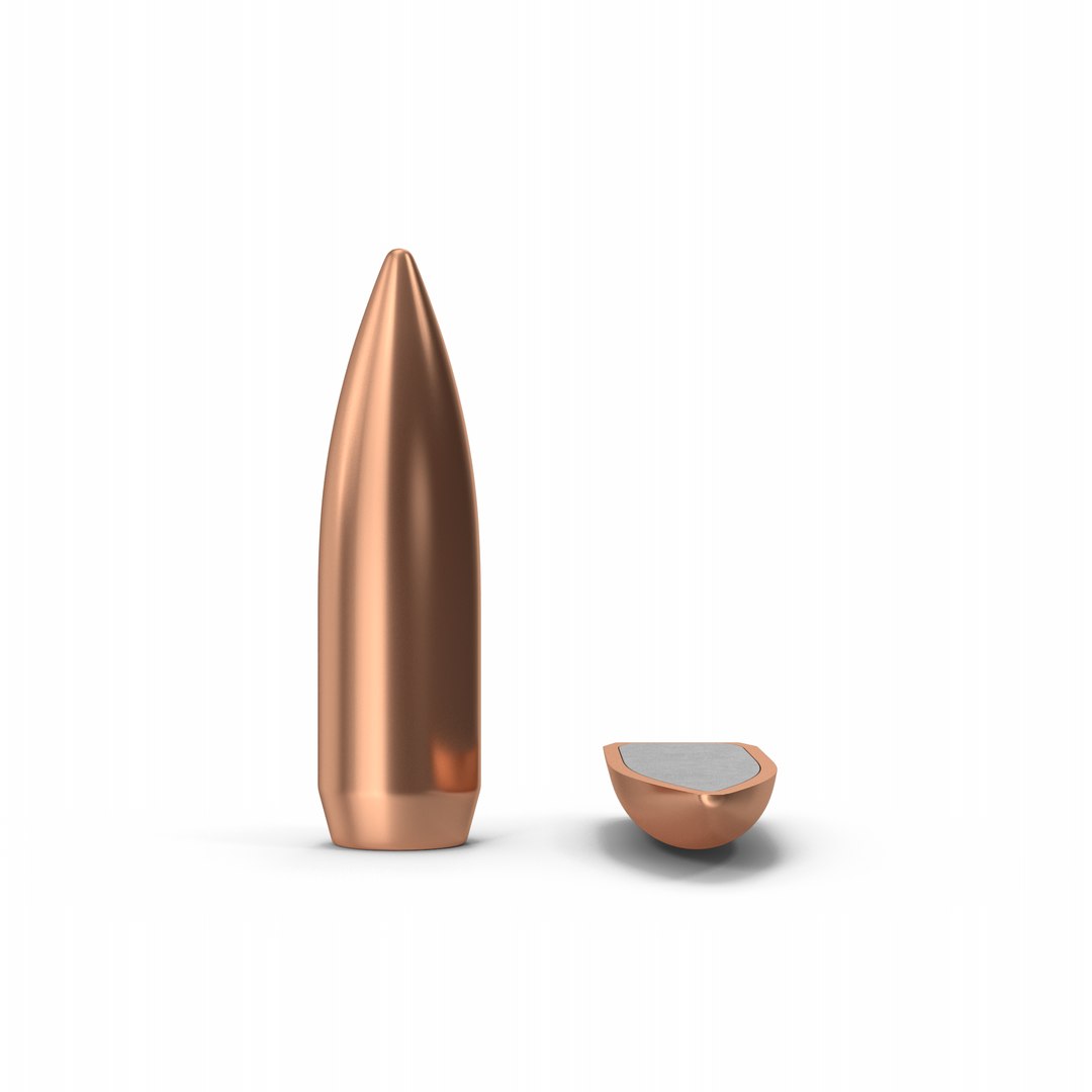 3D Cross Section Of Bullet - TurboSquid 1960989