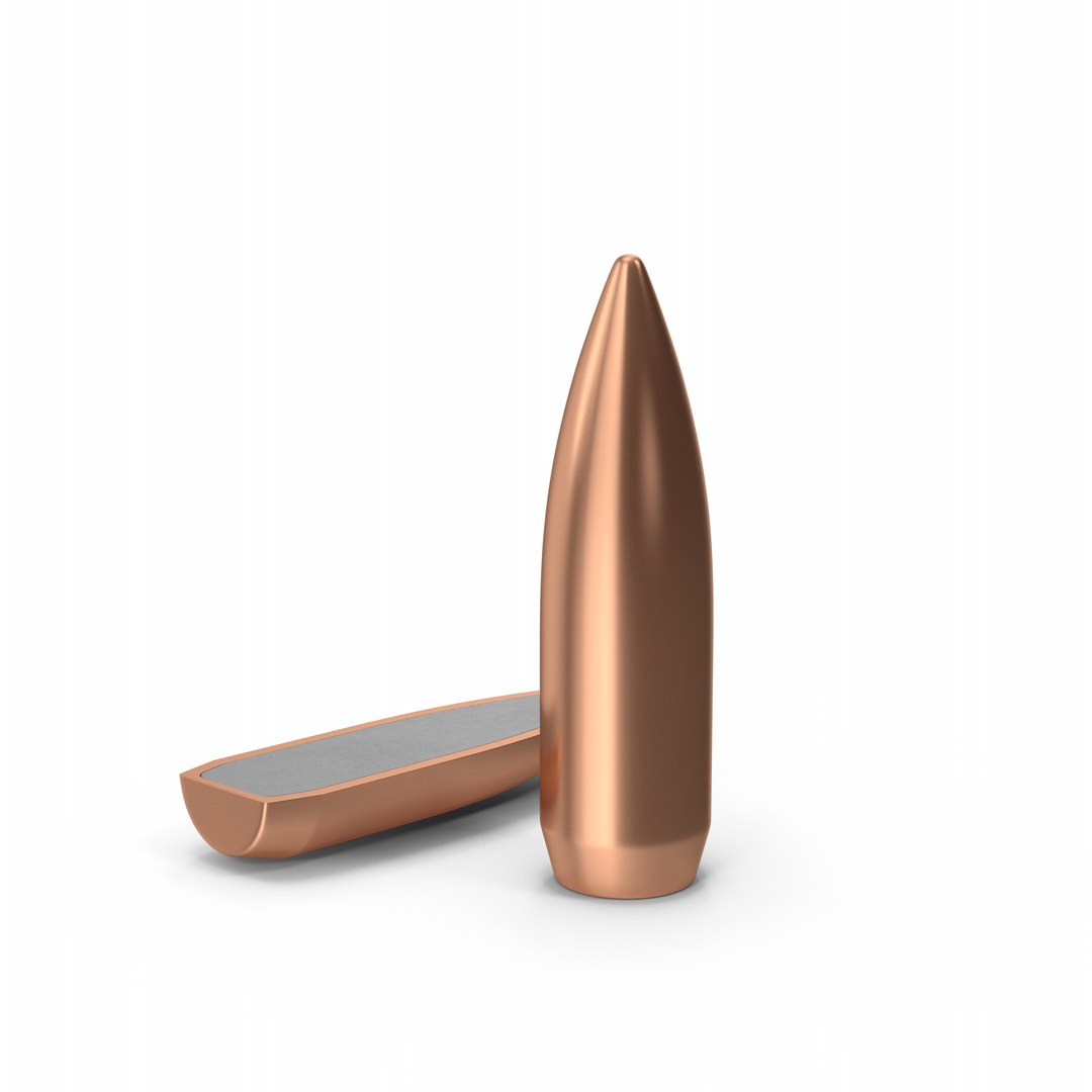 3D Cross Section Of Bullet - TurboSquid 1960989