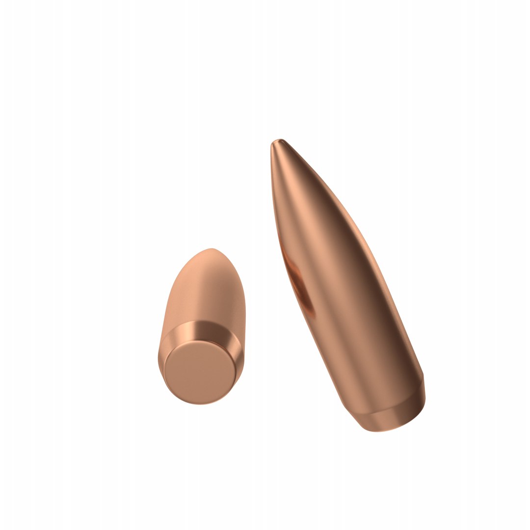 3D Cross Section Of Bullet - TurboSquid 1960989