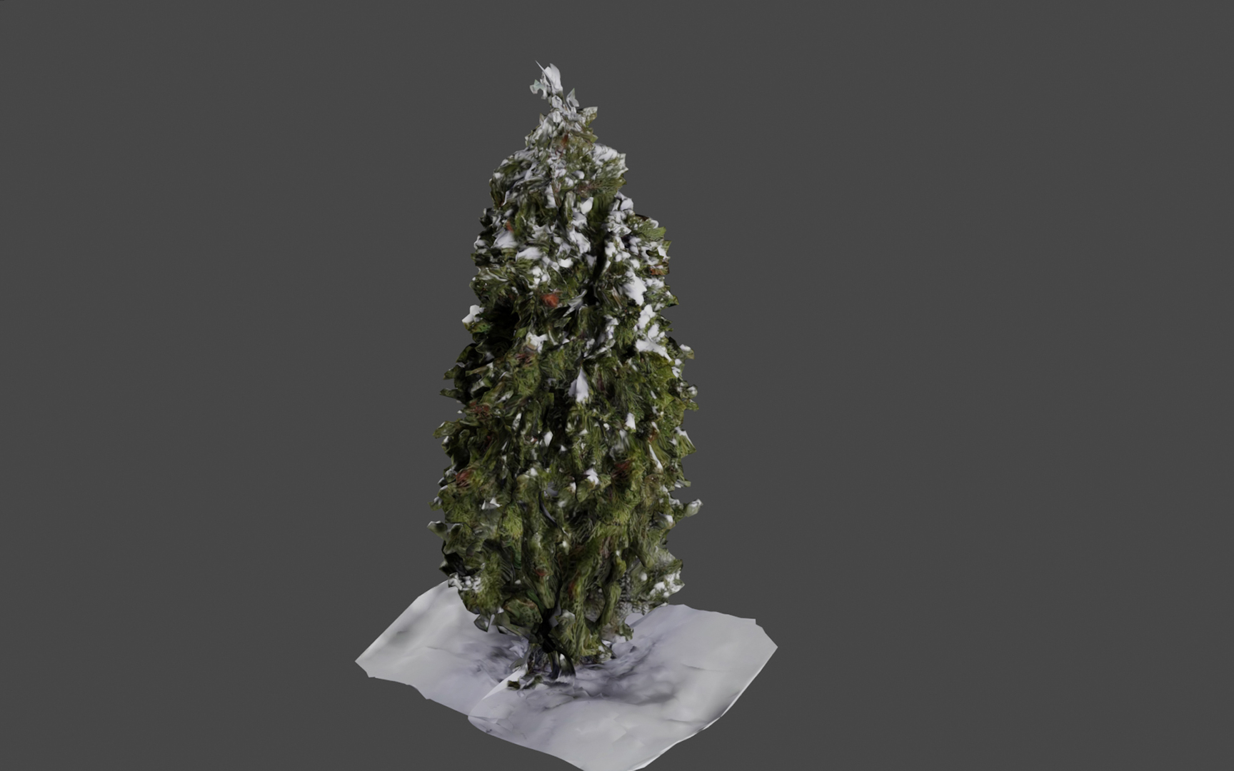 3D ICY SNOW WINTER CHRISTMAS BUSH TREE - TurboSquid 1994662
