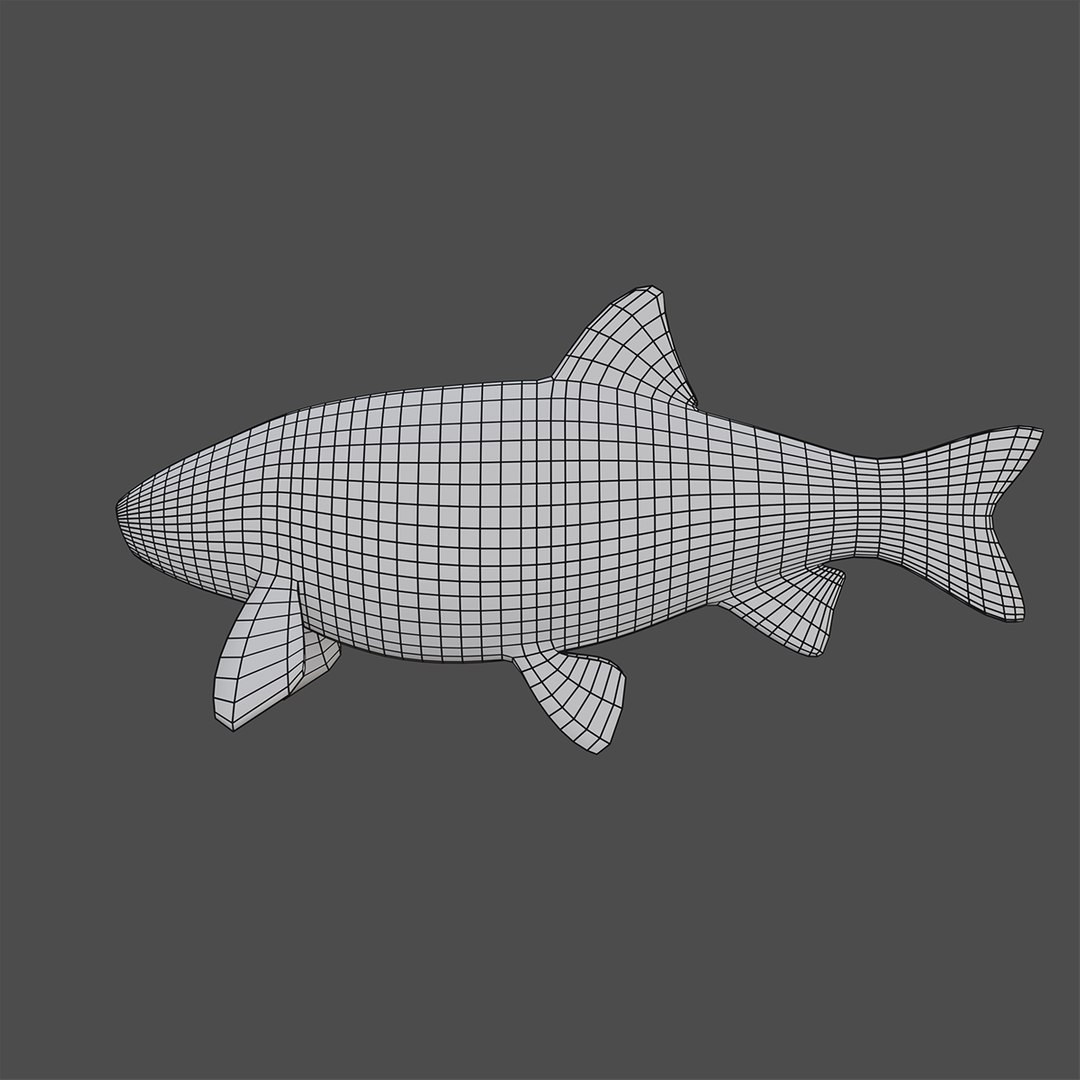 Ide Fish Animations 3D Model - TurboSquid 1578479