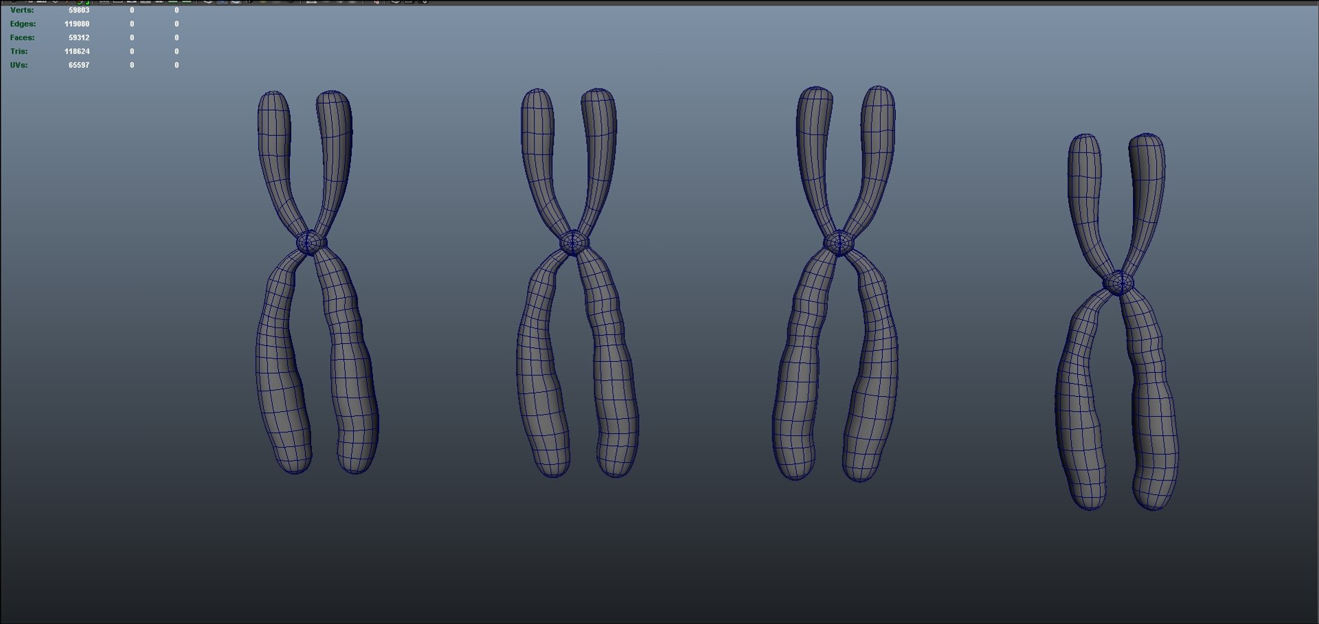 Humans Chromosomes Model - TurboSquid 1261523