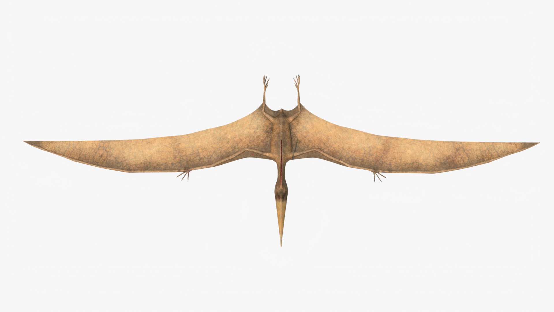 3D 4K Realistic Pteranodon model - TurboSquid 2074362