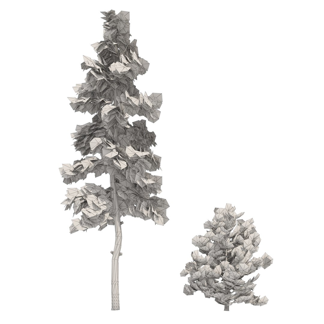 Evergreen Tall Tree Forest 3D Model - TurboSquid 2054216