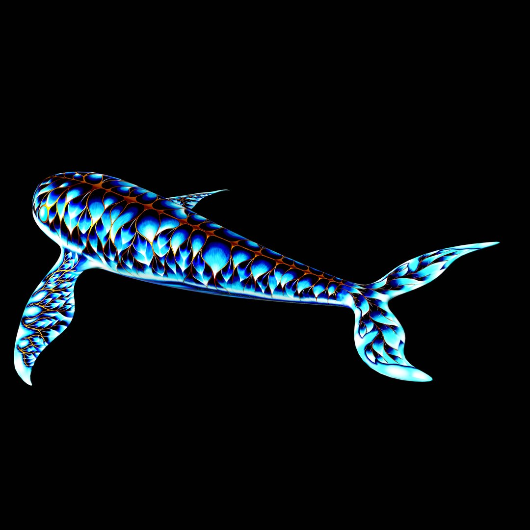 Fat-bellied Blue Whale 3D Model - TurboSquid 2426465