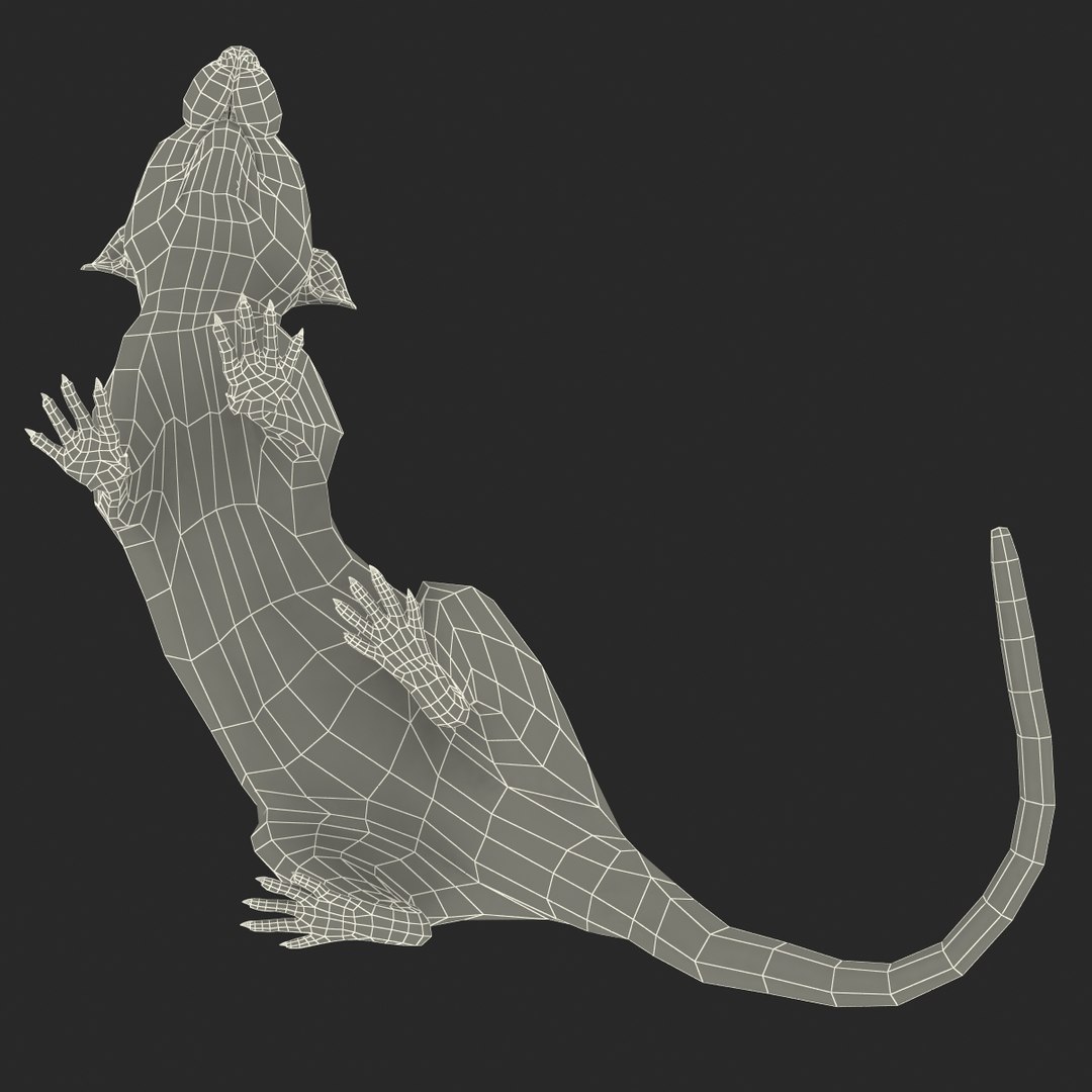 3d Model Rat 2 Pose 5