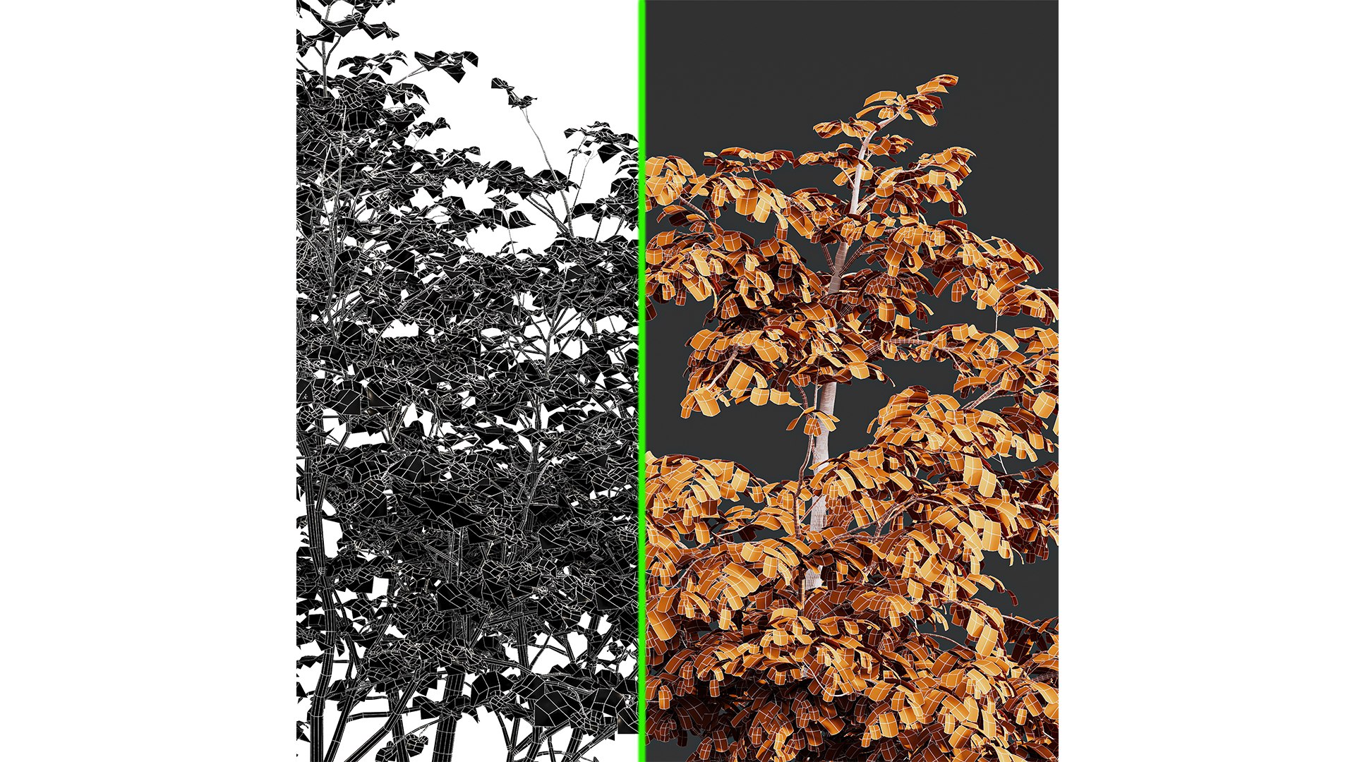 Carpinus Betulus and Hazel leave 3D - TurboSquid 2148727