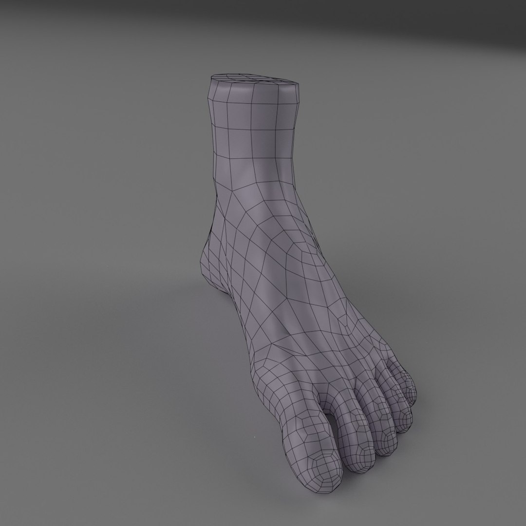 Simple Foot 3D Model - TurboSquid 1278527